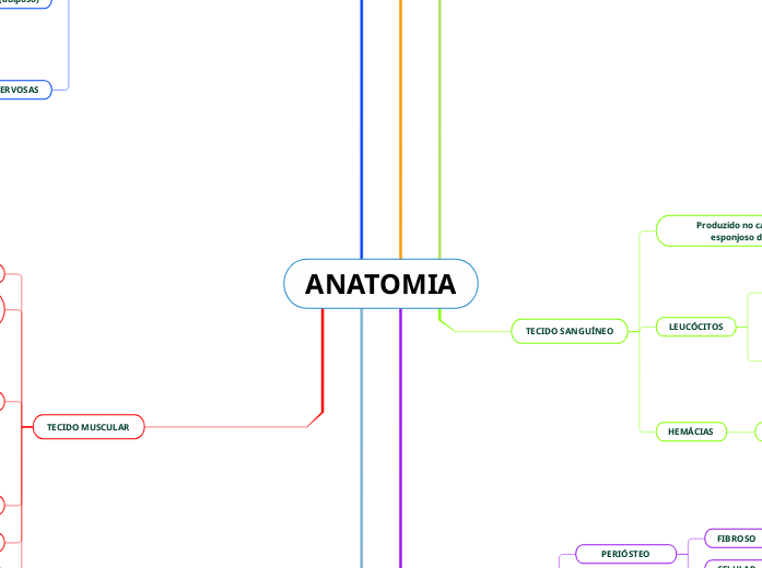 ANATOMIA - Mind Map